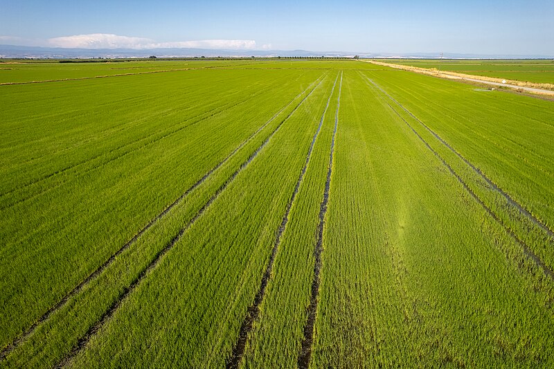 Documenting Northern California’s Agricultural Heritage – THE ROADRUNNER